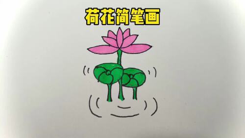 荷花这样画,简单又好看