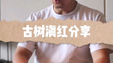 正宗古树滇红是什么滋味