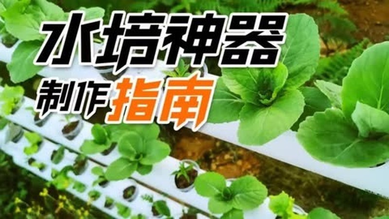 自制蔬菜无土栽培神器,简单易学!开启种菜无尽模式