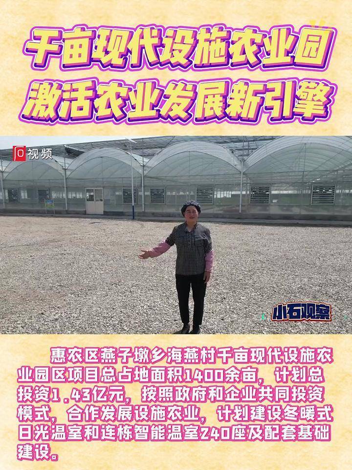 小石观察⑮丨千亩现代设施农业园激活农业发展新引擎#项目建设#农业...