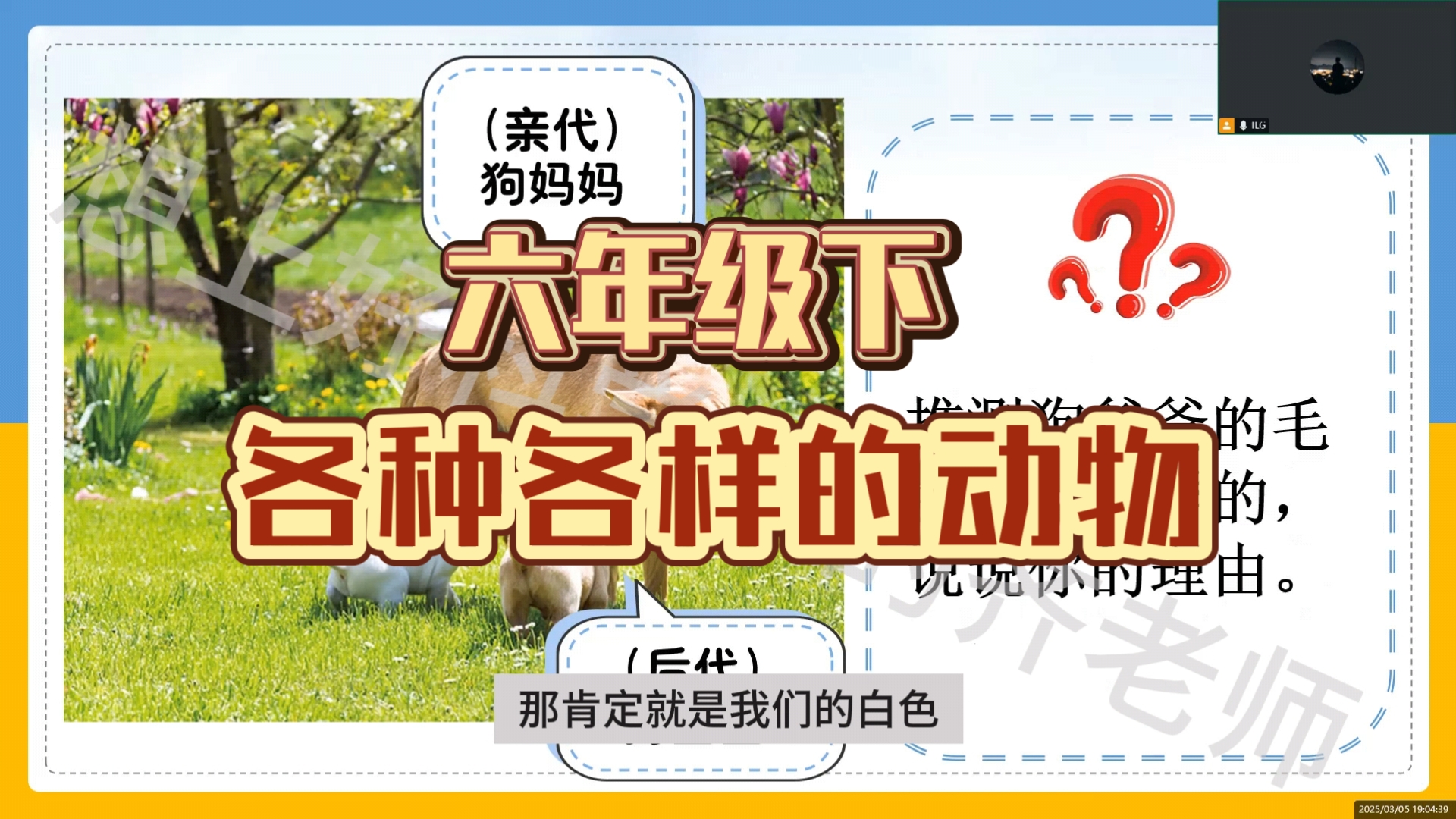 六年级下小学科学创新设计《各种各样的动物》