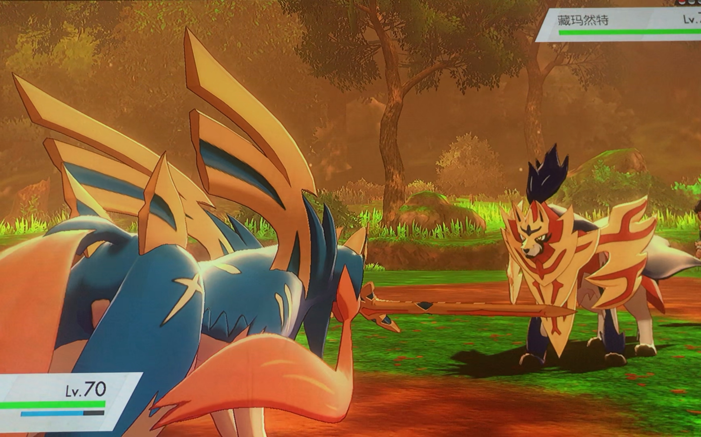 看了这个视频，你就知道该买剑还是盾了，switch宝可梦剑盾，60帧实拍神兽割草一刀一个