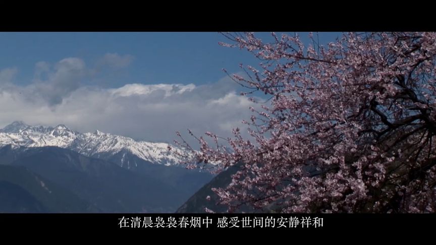 美丽乡村德钦县燕门乡茨中村 乡村旅游形象宣传片