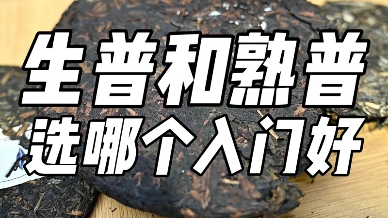 生普和熟普选哪个入门好