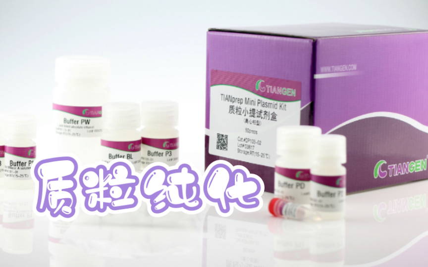 ...purification|质粒纯化、质粒抽提的原理和每步buffer的成分和作用