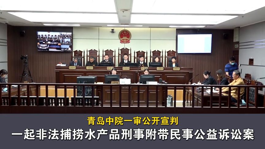 青岛中院一审公开宣判一起非法捕捞水产品刑事附带民事公益诉讼案