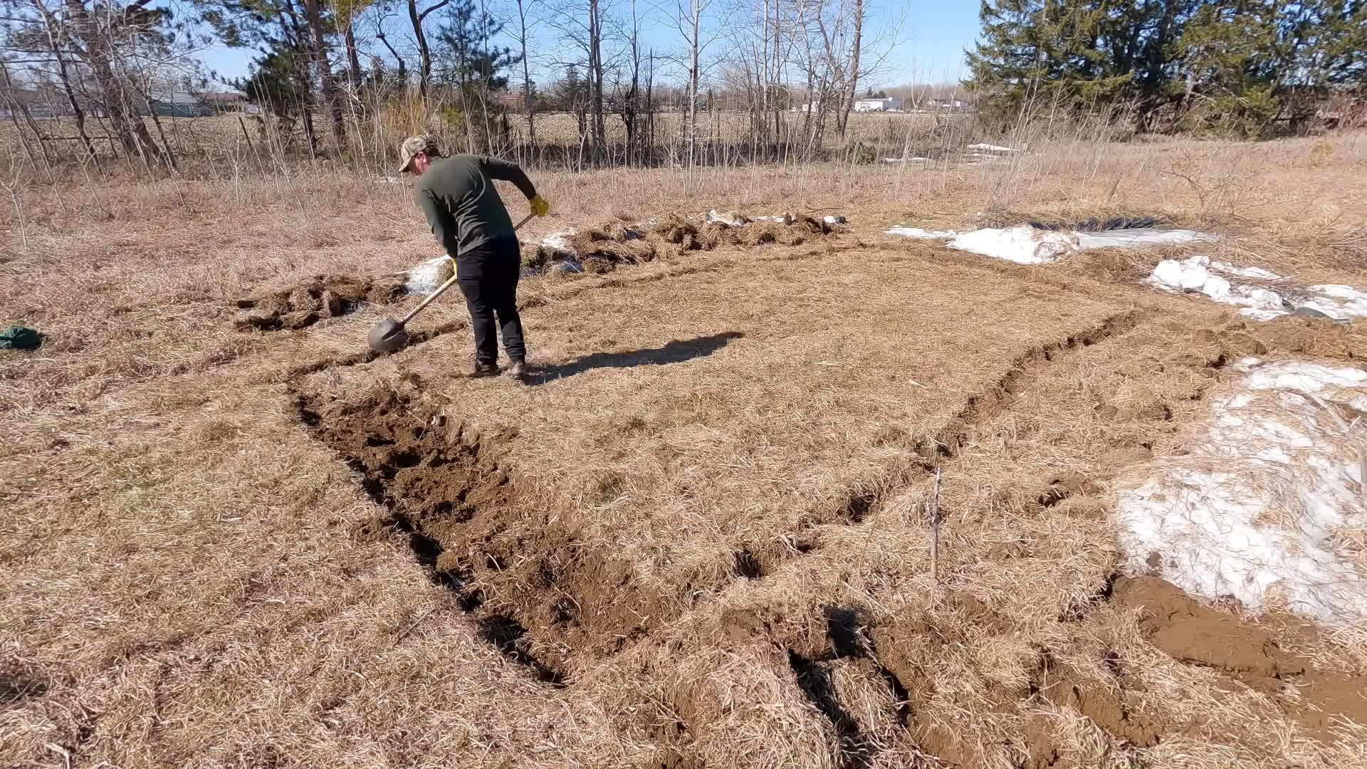 上帝模拟器 户外池塘生态系统 你的超级减速带上帝模拟器,打造户外...