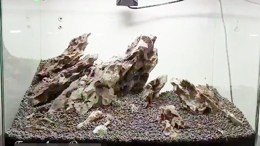 水草造景:简单的松皮石开缸流程,轻松学会