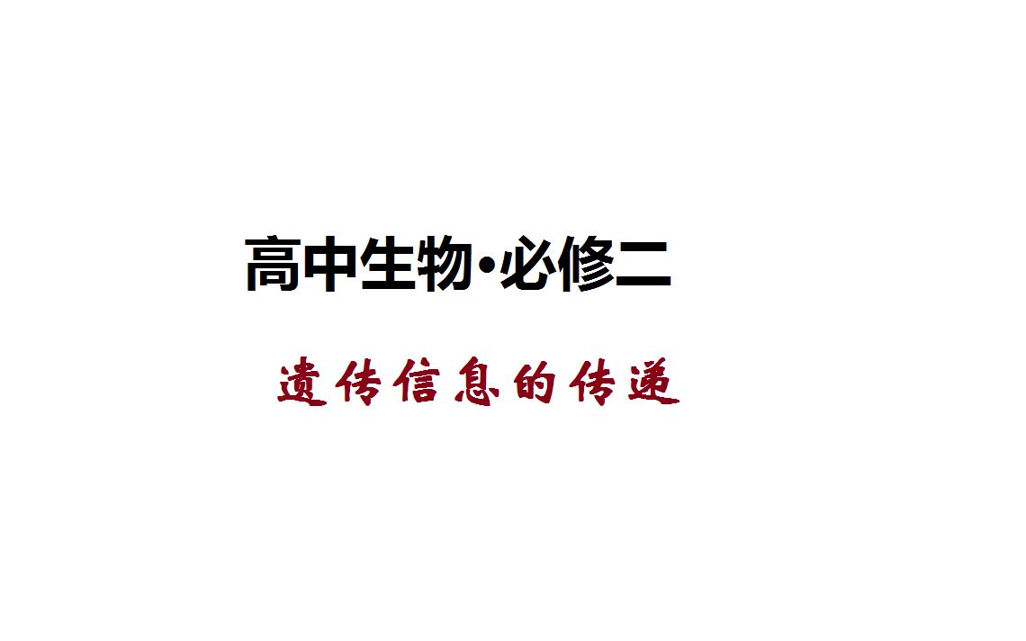 【高中生物•必修二】遗传信息的传递