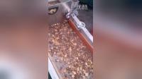 振动筛选视频