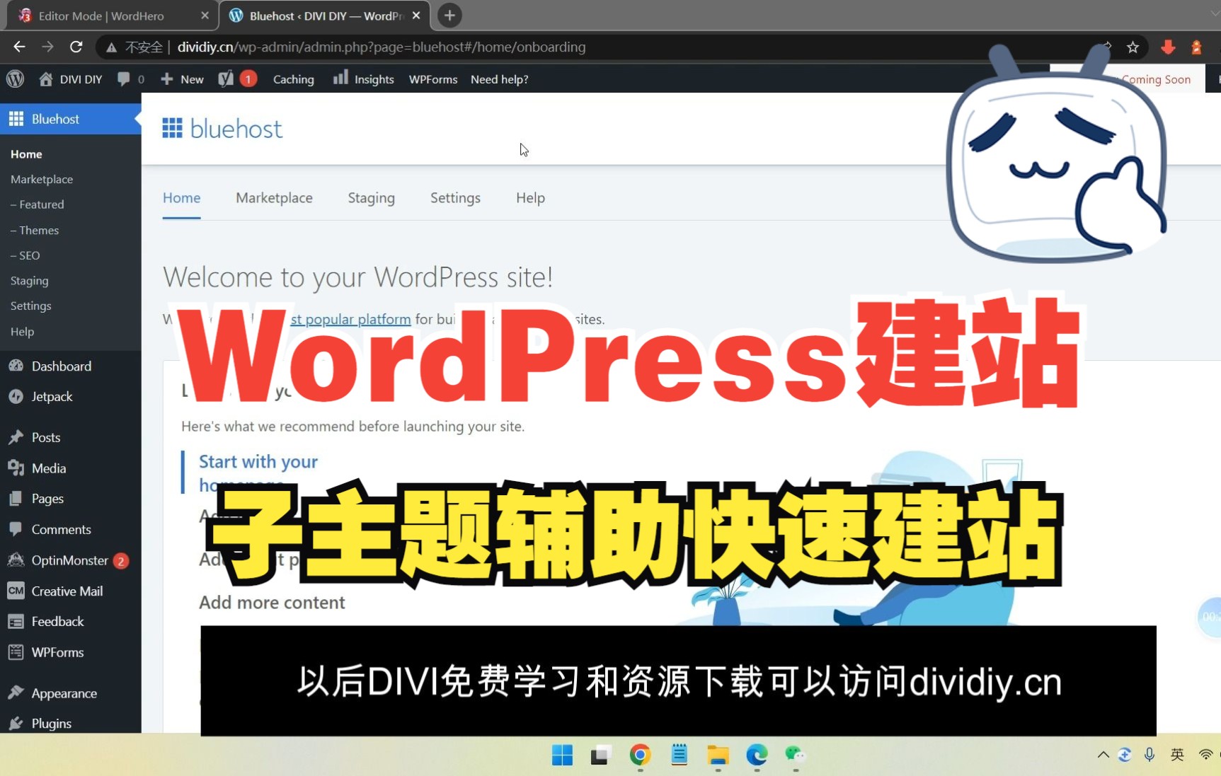 WordPress网站快速上线:DIVI 子主题布局-照葫芦画瓢