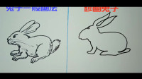 兔子简笔画:秒画的创意真牛!
