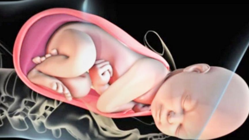 顺产到底有多痛?3D动画模拟全过程,看完双腿发软