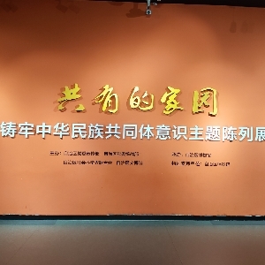 小白青年 
