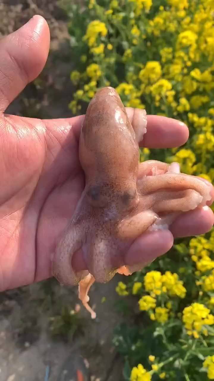 14.美滋滋,还是这玩意香啊 #美食卷王挑战赛 #快手Fun