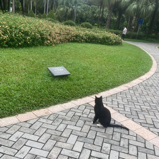就要花六个硬币改名 