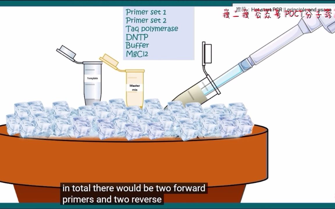 巢式PCR