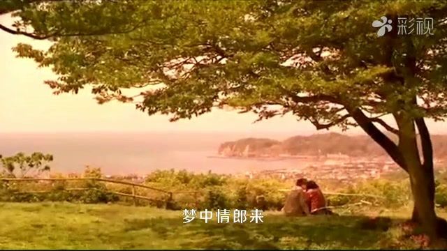 歌曲:望海高歌原唱《槐花为谁开》