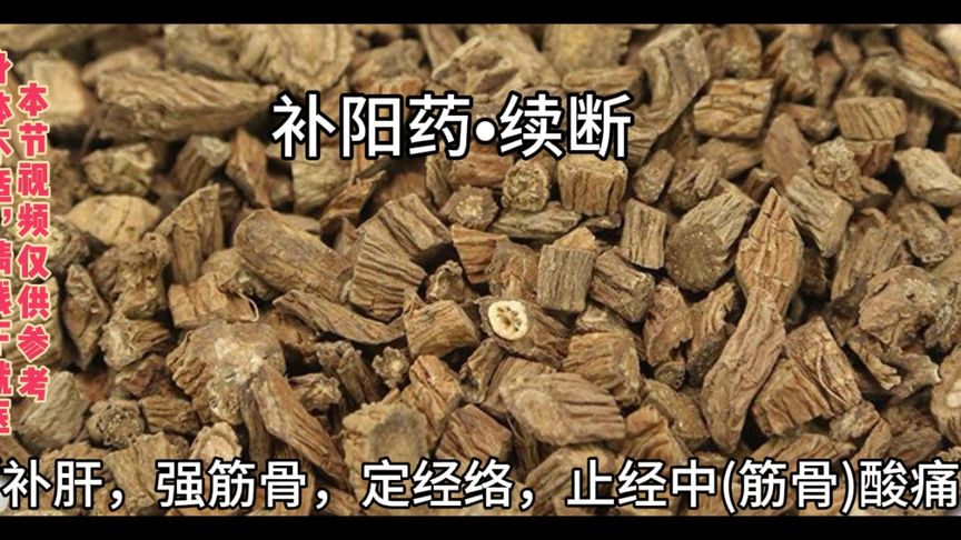 续断,是治跌打损伤和妇科的一味神奇妙药。