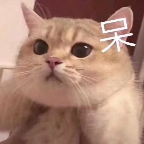 小程不玩游戏 