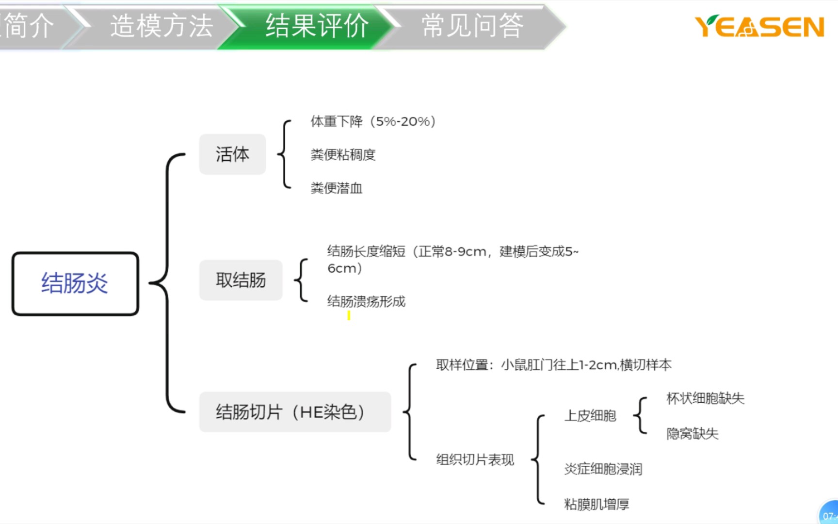DSS结肠炎模型造模及结果评价