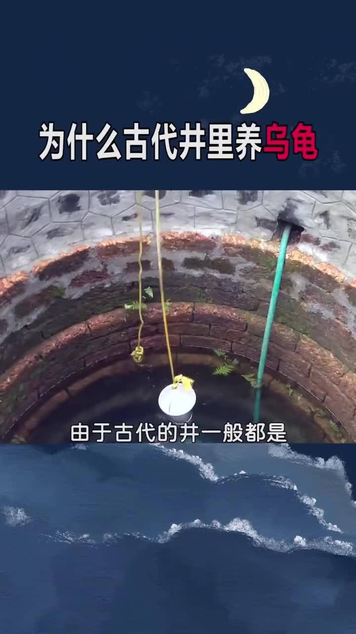 古代打井时为什么要在井里放只乌龟