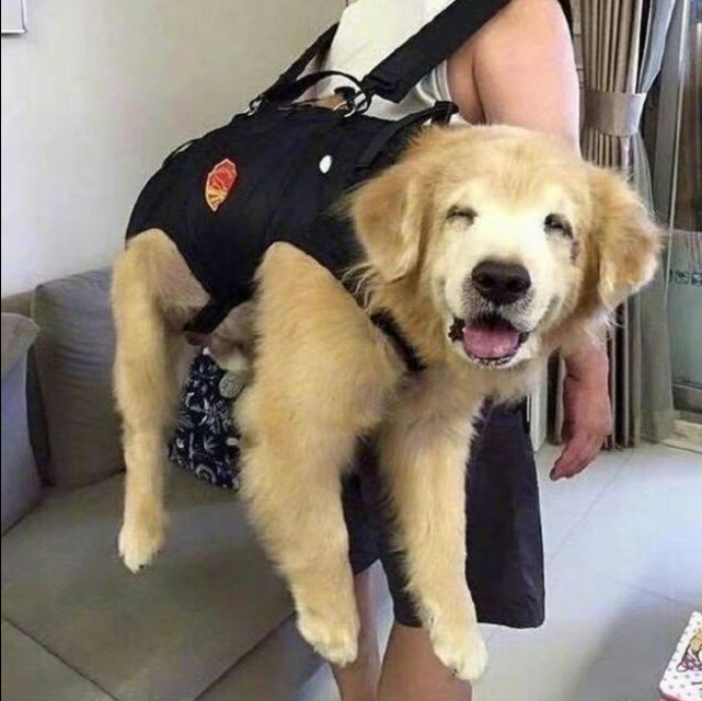 一位沙雕up主 