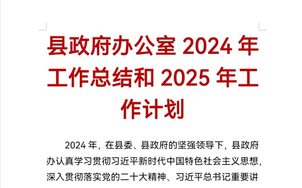 县政府办公室2024年工作总结和2025年工作计划