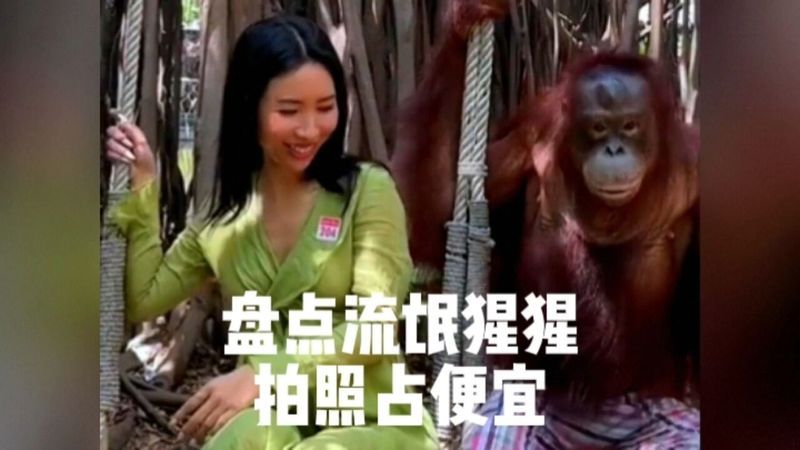 盘点流氓大猩猩和美女拍照,趁机占便宜