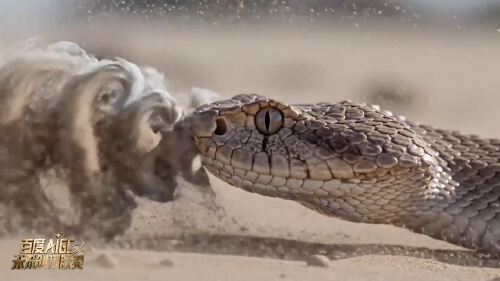 鹿角竟是风速计?揭秘动物如何在风中"嗅"到几公里外的气味!