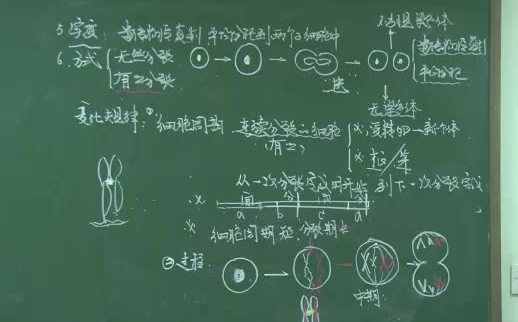 16讲 【秋季】高三生物 【一轮复习】高考生物考点系统解析