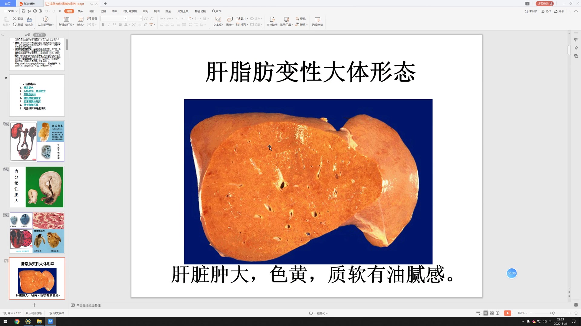 (实验一)组织细胞的损伤与修复