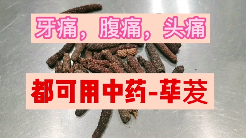 可以用于牙痛,腹痛,神经性头痛的中药-荜茇