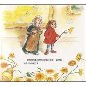 新疆的天山可可