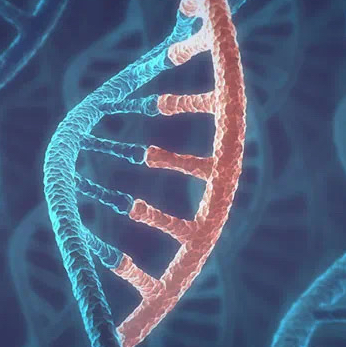 高中生化徐老师 