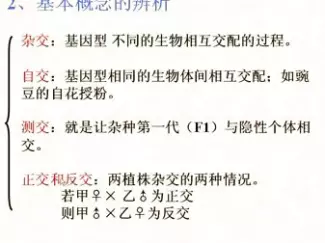 汉水丑生 高中生物 必修二 分离定律全集(新课习题课解题技巧)