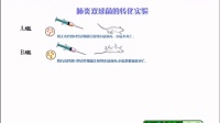 DNA是主要的遗传物质