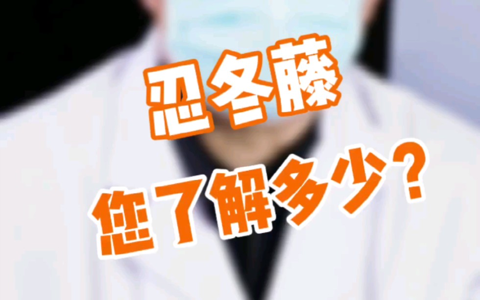 痛风患者注意了!今天为你揭秘“忍冬藤”的独特效果,收藏起来吧