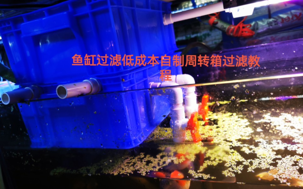 鱼缸过滤低成本自制周转箱过滤教程