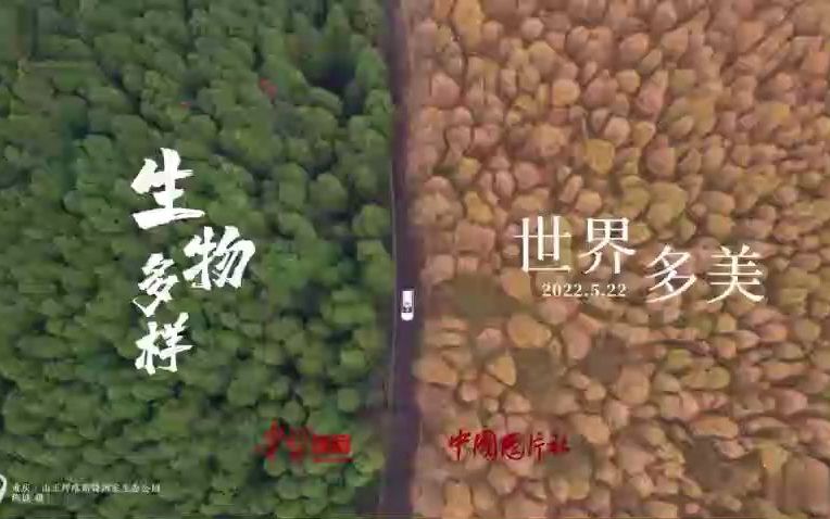 【国际生物多样性日】生物多样,世界多美
