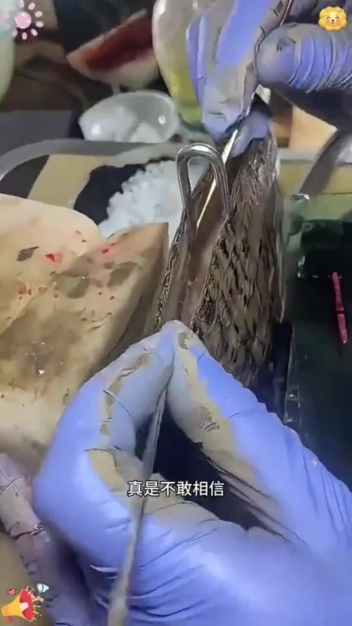 原来珍珠都是人工培育的