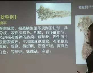 根类及根茎类药材的鉴定-考拉网-执业中药师中药鉴定学