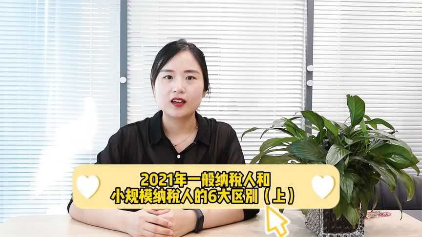 2021年一般纳税人和小规模纳税人的6大区别(上)