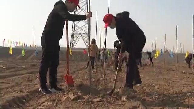 绿化生活!任丘市开展2020年义务植树活动