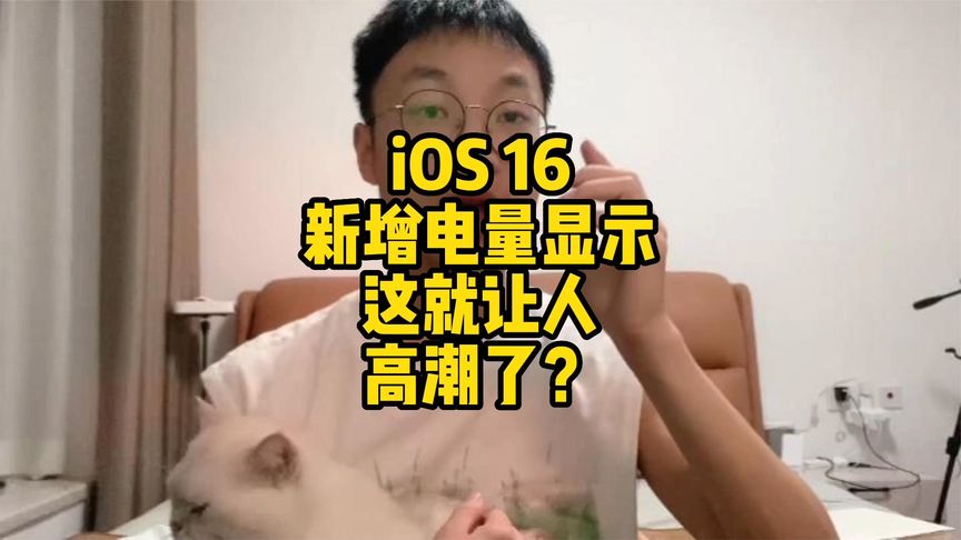 iOS 16新增个电量显示,果粉就高潮了?