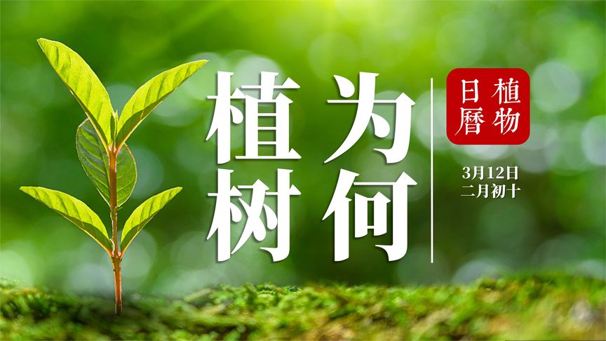 植树节是从何而来,你知道哪些关于植树节的故事么?