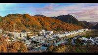 保护野生动物珍爱生态环境