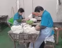 带你看从蚕茧到蚕丝被的制作过程,教你怎么辨别真假蚕丝被,以后不要...
