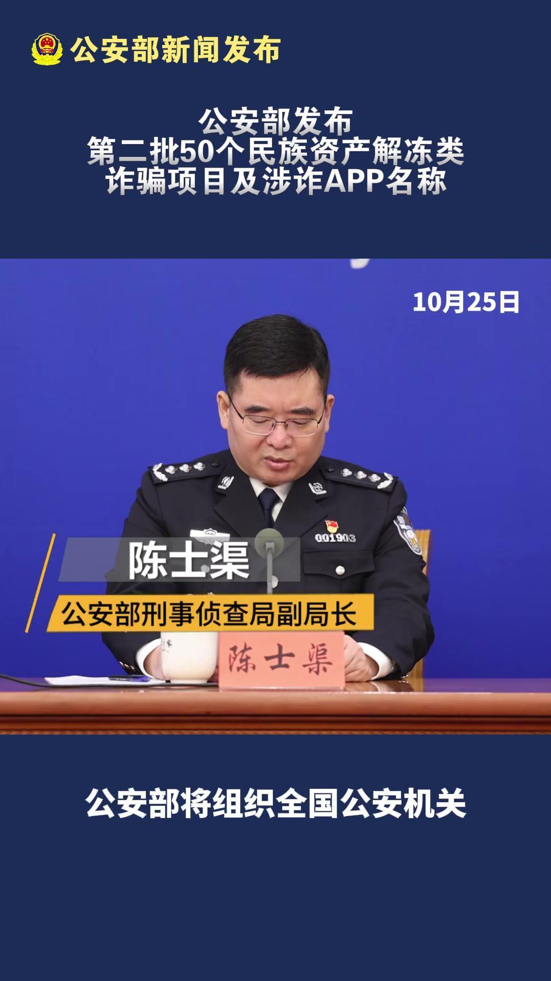 下一步,公安部将组织全国公安机关深入推进专项打击、重点地区整治...