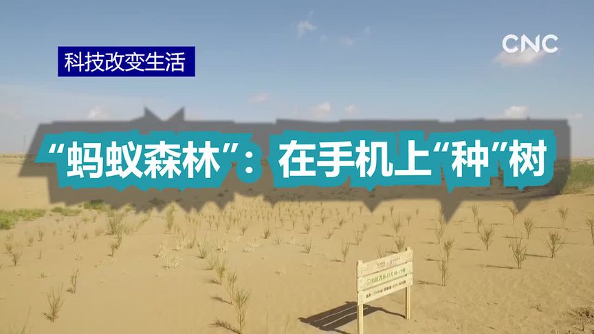 科技改变生活|“蚂蚁森林”:在手机上“种”树